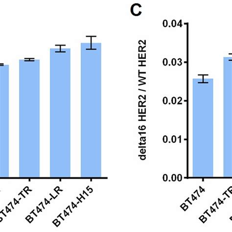 The Siher2 D75 Mediated Gene Knockdown Of The Delta16 Her2 Splice