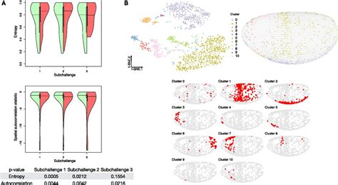 Gene Selection For Optimal Prediction Of Cell Position In Tissues From