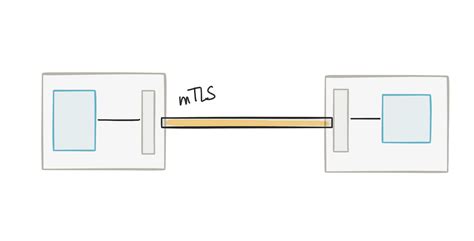 how a service mesh can help with microservices security java code