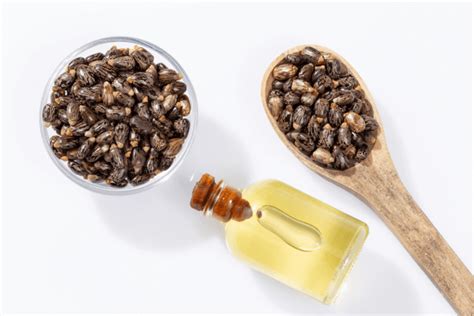 6 Amazing Benefits Of Castor Oil In Belly Button Queenmind