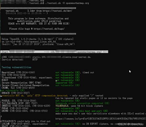tls ssl测试神器：testssl sh安装使用说明 csdn博客