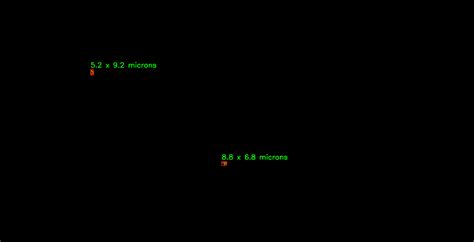 [solved] python measuring a particle size in an image from a given