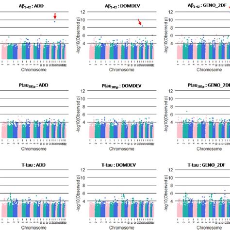 Boxplots Of Aβ1 42 Levels In Normal Mci And Ad Subjects Stratified By