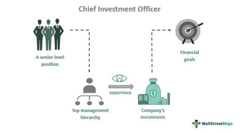 Chief Investment Officer Definition Salary Requirement Vs Ceo
