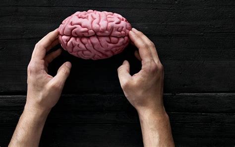 Are Mens And Womens Brains Really Different Fmt