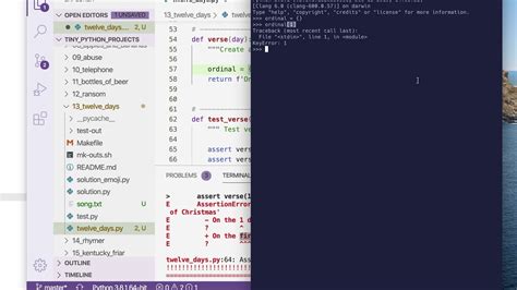 tiny python projects ch 13 pt 3 ordinal numbers and shadowing youtube