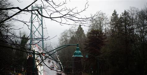 Rainfall Warning Issued For Vancouver With Nearly 50 Mm Expected News