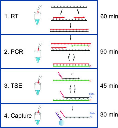 Evaluation Of A Multiplexed Pcr Assay For Detection Of Respiratory