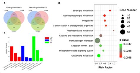 The Number Of Differentially Expressed Genes Degs Identified By