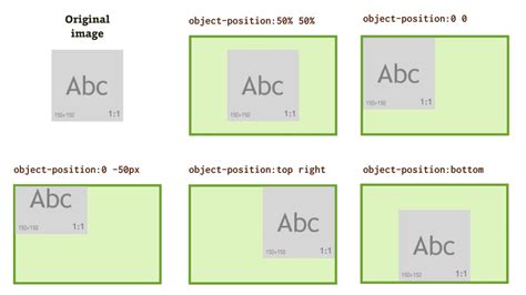 css object fit and object position properties crop images embedded in html