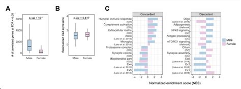 Sex Differences In C4a Co Expression Highlight Divergent Myelination