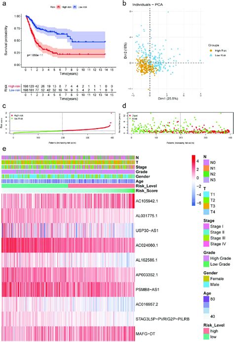 Construction And Validation Of Hypoxia Associated Prognostic Lncrna