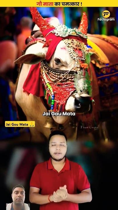 Jai Gau Mata 🙏गौ माता का चमत्कार 😳😳 Shorts Facts Mata Gaumata
