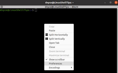 How To Install And Use Terminator Terminal In Linux