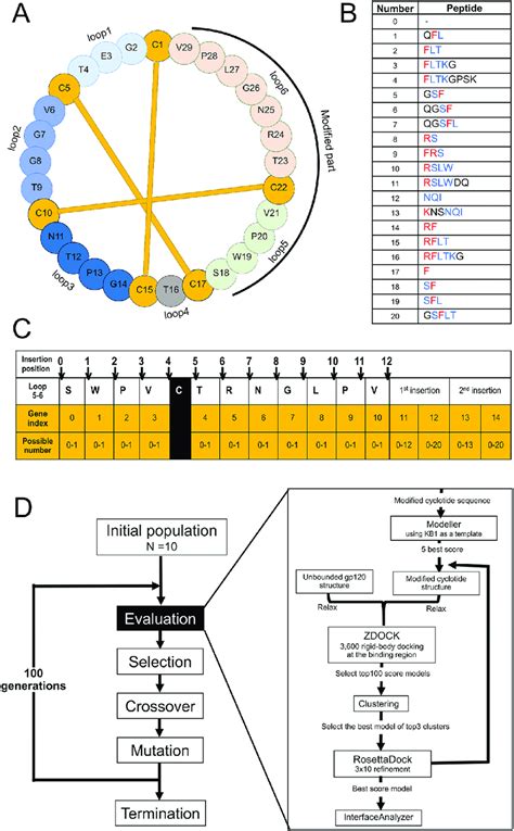 genetic algorithm schema for modifying the kb1 sequence a native kb1