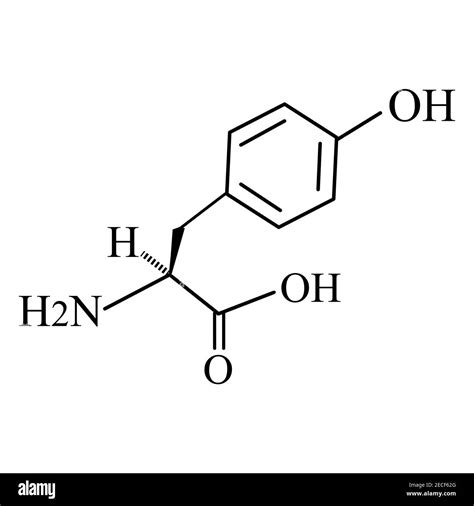 The Amino Acid Tyrosine Chemical Molecular Formula Of Tyrosine Amino
