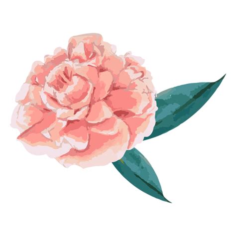 Design Png E Svg De Flor Rosa Com Aquarela De Folhas Para Camisetas
