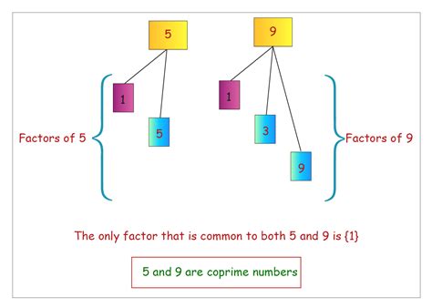 co prime number what is co prime numbers definitions cuemath