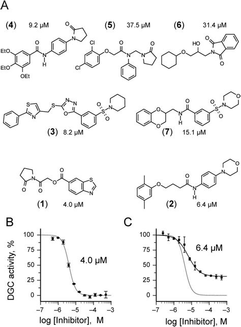 Identification Of Small Molecule Modulators Of Diguanylate Cyclase By