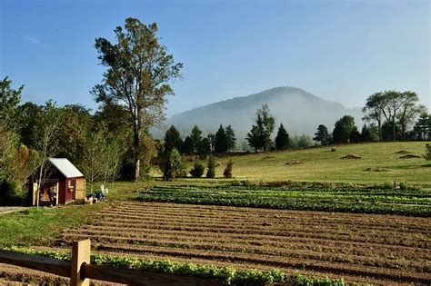 The Cliffs Announces Creekside Farm Golf Ridge Cottages Greenville