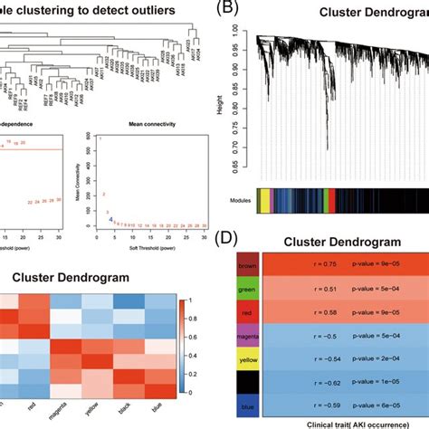 Wgcna Analysis Of Differentially Expressed Genes A Cluster