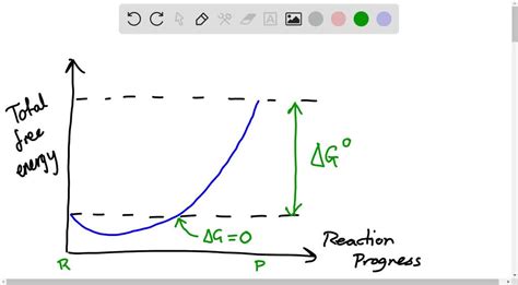 Solved Consider The Following Graph Of Total Free Energy Of Reactants