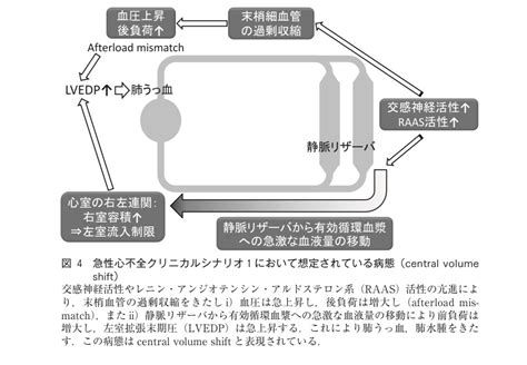 医師国家試験クイズくん On Twitter もともと慢性心不全のあるような人で、なんらかの原因により交感神経系やレニン アンジオテンシン