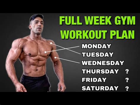 Full Week Gym Workout Plan For Muscle Building And Fat Loss One Vs Two