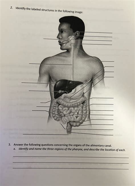 [solved] 2 Identify The Labeled Structures In The Following Image 3