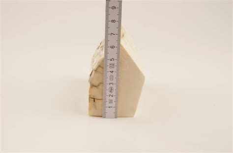 Natural Mammoth Ivory Piece Arctic Antiques