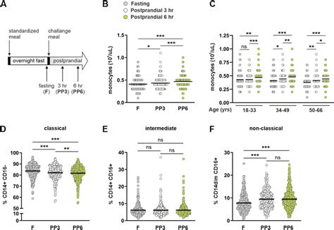 Fasting And Postprandial Monocyte Counts And Subsets A Schematic