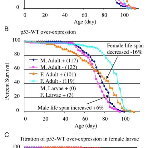 Conditional Over‐expression Of Wild‐type P53 Trans‐ Genes Using
