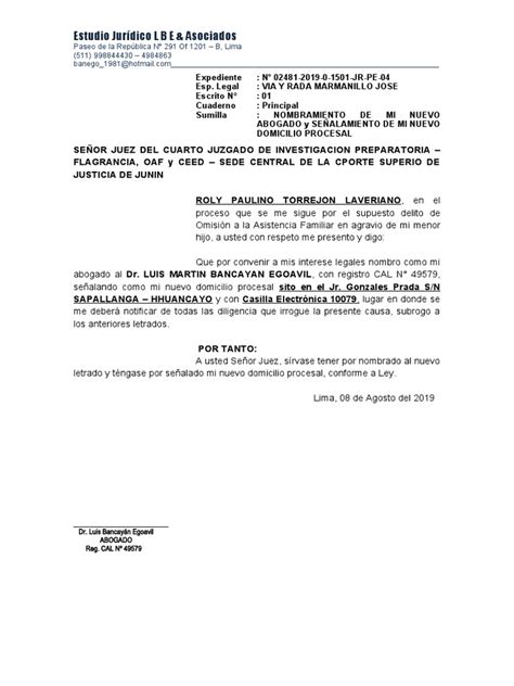 Nombramiento De Abogado Pdf