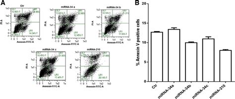 Apoptosis Analysis Of Imr 32 Neuroblastoma Cell Line A Annexin V Pi