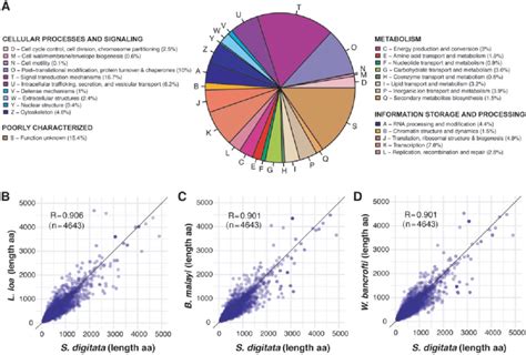 A Classification Of Protein Coding Genes In Cog Functional Groups
