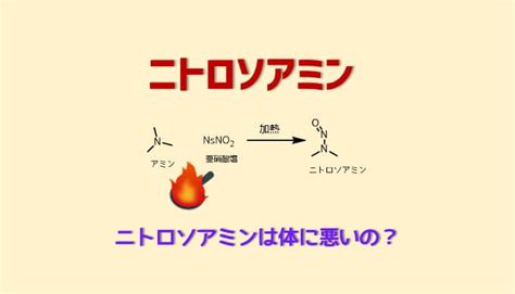 ニトロソアミンの化学 発がん性のある危険な物質の化学的性質 ネットdeカガク