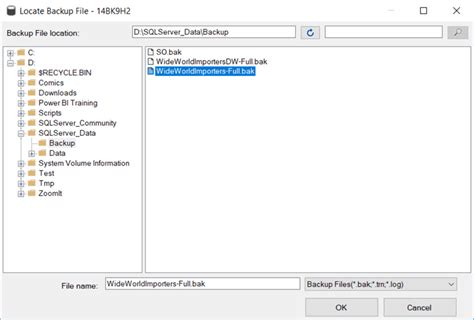 work with sample data in sql server integration services ssis