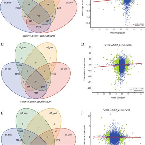 Correlation Analysis Between Proteome And Transcriptome By Venn