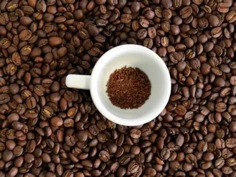 Cuáles Son Los 4 Fundamentos Del Café Según Starbucks