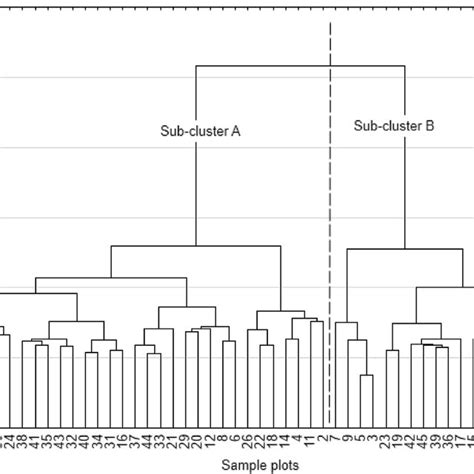 hierarchical cluster analysis dendrogram showing classification of