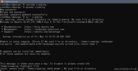 【精选】【dev on wsl2】wsl2 with vscode简单配置 vscode wsl2 csdn博客