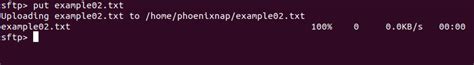 how to use sftp commands and options {6 use cases}