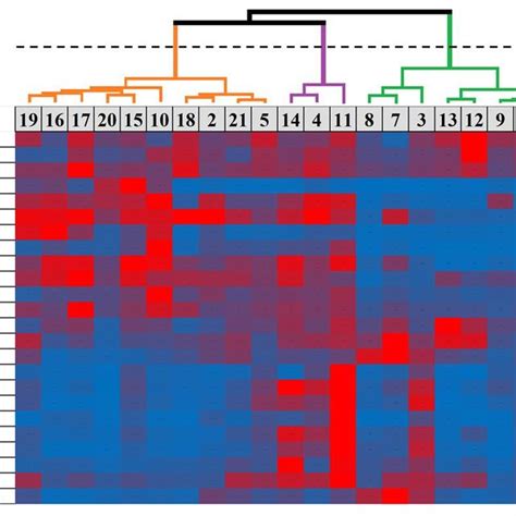 the hierarchical clustering dendrogram combined with a heat map showing