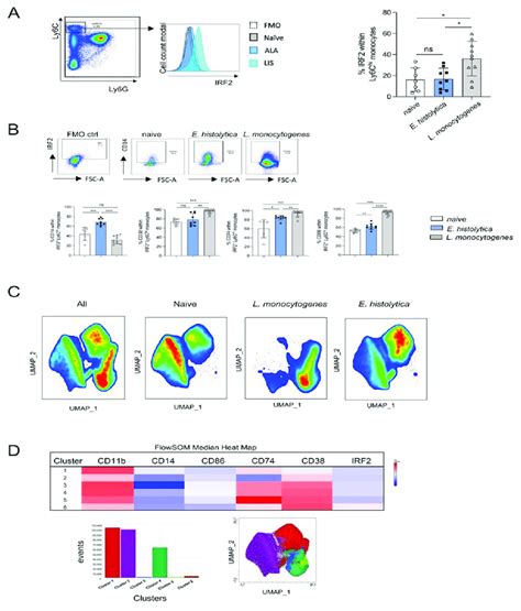 New Ly6c Hi Monocyte Subsets Identified According To Expression Of