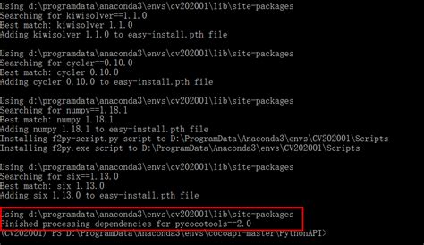 successfully resolved error failed building wheel for pycocotools