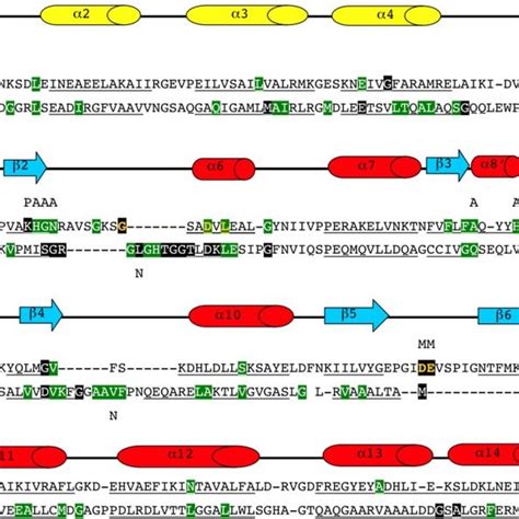 sequence conservation in the anprt and pynp families structure based