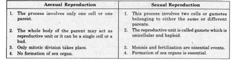 Differentiate Between Asexual And Sexual Reproduction