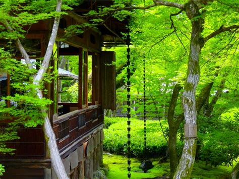 雨の京都も人気です 梅雨時期にあえて訪れたい“京都の名所”、集めました キナリノ