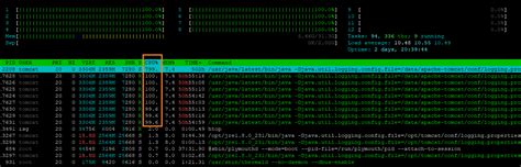 doktrína sklo sága tomcat using 100 cpu čašník odmietnutie priestranný