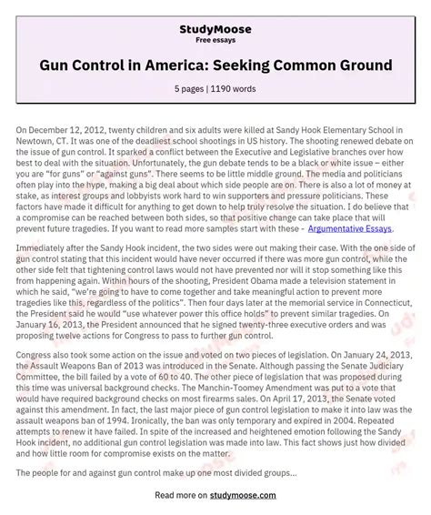 Gun Control In America Seeking Common Ground Free Essay Example